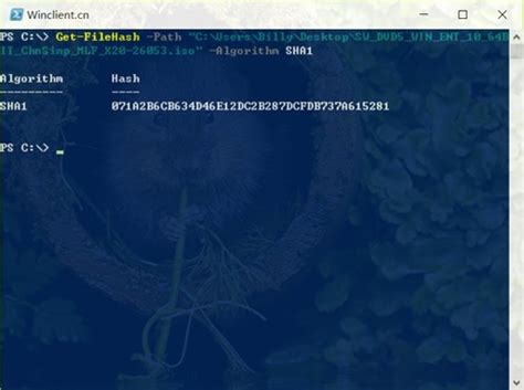 Windows校验文件哈希的两种常用方式 Csdn博客