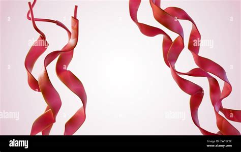 3d Rendering Of Collagen Structure Peptide Chain Structure Composed Of Three Interlocking