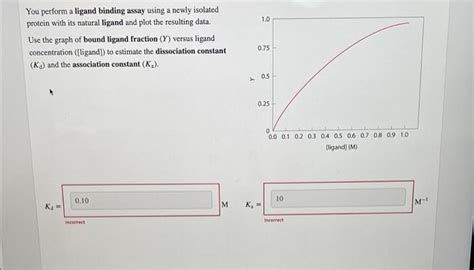 Solved A 1 0 You Perform A Ligand Binding Assay Using A