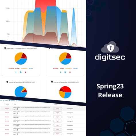 Digitsec Salesforce Security Scanner And Penetration Testing