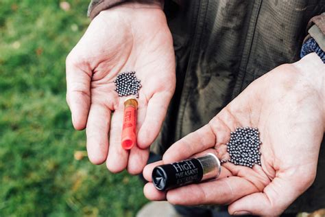 Explaining Shotgun Bore Sizes What Does Shotgun Bore Actually Mean