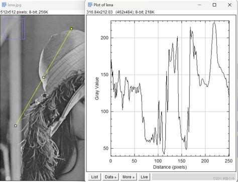 Imagej灰度图像处理与分析初步 Imagej灰度值怎么处理 Csdn博客