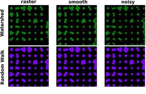 watershed and random walk segmentation results for 1 marker fraction