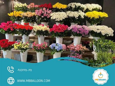 راهنمای انتخاب گل برای گل‌ آرایی و تزیین ام بی بالون
