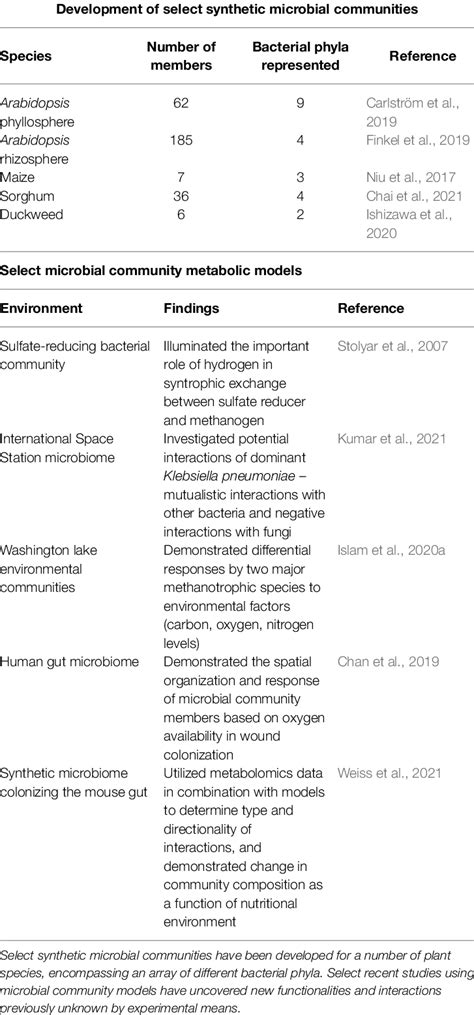 Highlighted Synthetic Microbial Communities And Community Metabolic Models Download