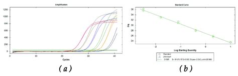 SYBR Green QPCR Serial Dilution From Ng Of DNA Extracts From Download Scientific
