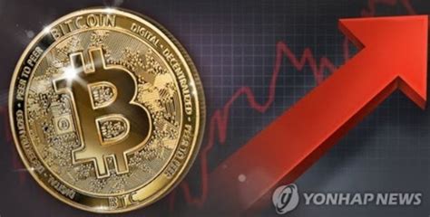 비트코인 시세 8000만원 선 돌파 주요 알트코인도 상승