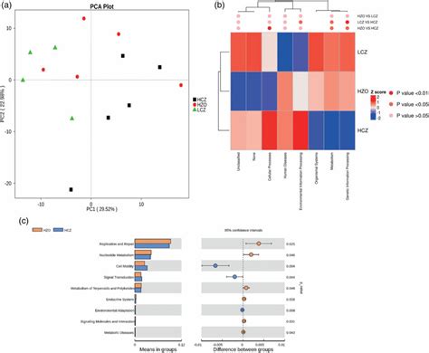 Predictive Functional Profiling Of Microbiota At Different Levels Of