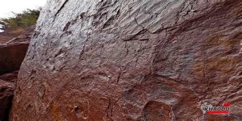 รอยเท้าไดโนเสาร์สภาพดี มากกว่า 30 รอย รวม 6 สายพันธุ์