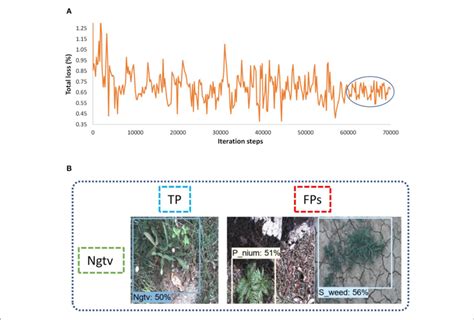 Performance Of Retinanet A Total Loss Plot B Examples Of