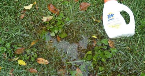 Zobostic Left 2 Write Tide Pool