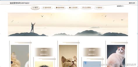 计算机毕业设计springboot猫舍管理系统分析与设计cld0q9【附源码数据库部署lw】青青 计算机毕设源码程序的博客 Csdn博客