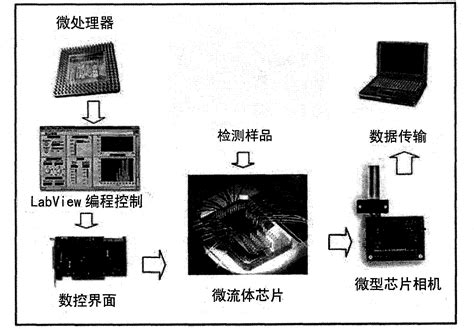 Microfluidic Chip For Cotinine Quick Detection And Preparation Method Thereof Eureka Patsnap
