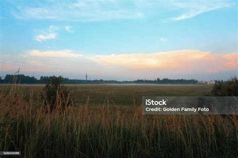 전경의 풍경 잔디와 들판 수평선의 숲 푸른 하늘 여름의 자연 0명에 대한 스톡 사진 및 기타 이미지 0명 갈색 건물 외관 Istock