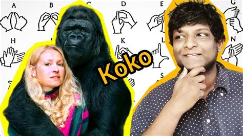 Koko The Gorilla Use Sign Language ️ Youtube