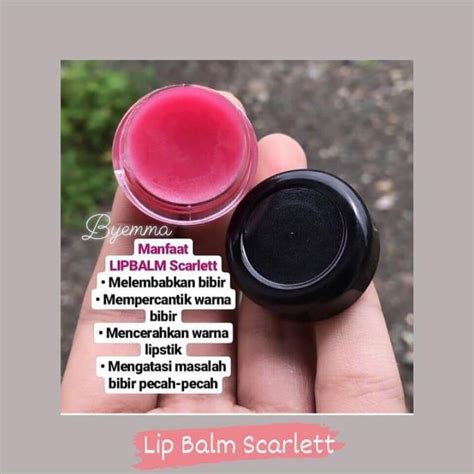 Jual Original Lip Balm Tinted Lip Balm Scarlett Origiy Shopee Indonesia