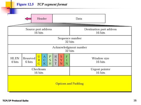 Transmission Control Protocol Ppt Download