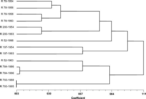 Upgma Phenogram Describing The Relationships Among Rye Sub Populations