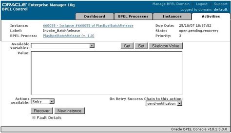 Extending The Oracle Bpel Error Hospital With Custom Java Actions