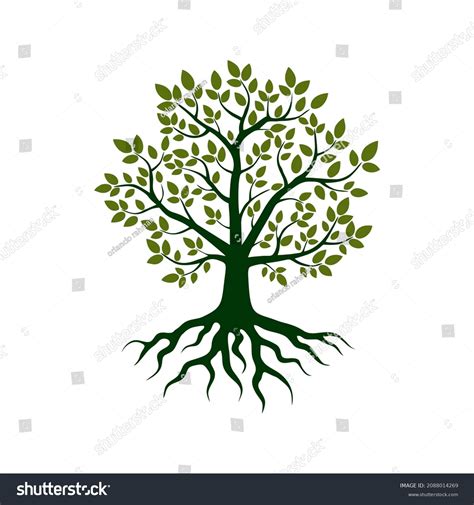 Tree Roots Vector Illustration Stock Vector Royalty Free 2088014269 Shutterstock
