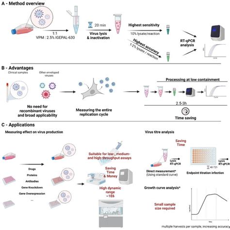 Direct Lysis Rt Qpcr Method A Depicts An Overview For Using The