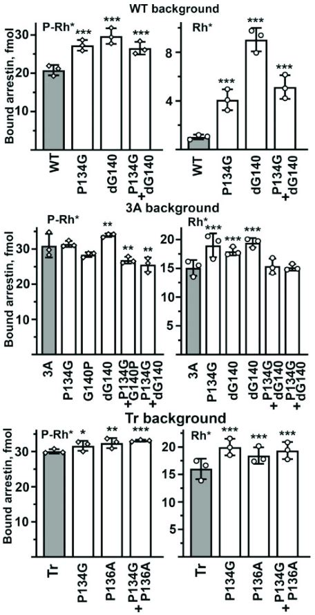 Combinations Of Binding Enhancing Mutations Do Not Yield Additive Download Scientific Diagram