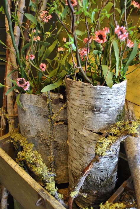 Best Images About Birch Decor On Pinterest Trees Birch Centerpieces And Manzanita Branches