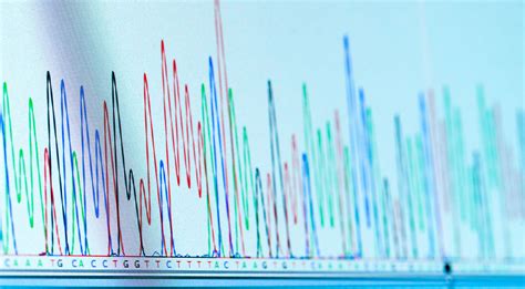 Cell Line Authentication Your Source For Expert Cell Line Authentication Services