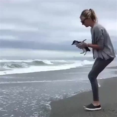 A New Linux User Makes A Difficult Decision To Nixcraft