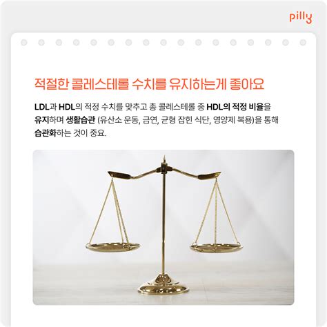 콜레스테롤의 두 얼굴 맞춤영양제 필리