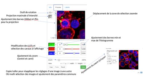 4 Utilisation D OMERO Figure France BioImaging Data Blog