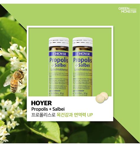 호야 캔디 프로폴리스 세이지 60정 2개 티몬