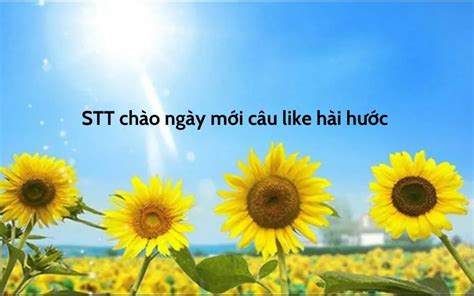 STT chào ngày mới câu like hài hước giúp tăng tương tác bán hàng
