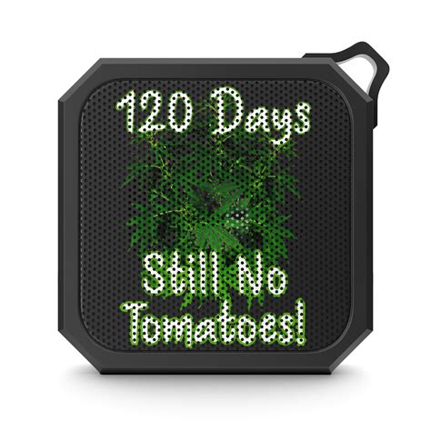 120 Days No Tomatoes Bluetooth Speaker — Hb Links