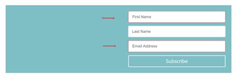 How To Remove The Name Fields Of The Divi Email Optin Module