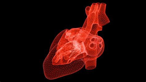 Self Taught Artificial Intelligence Beats Doctors At Predicting Heart Attacks Science Aaas
