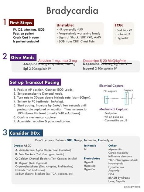 The Acls Bradycardia Algorithm Has Been Updated In 2020 Rfoamed911