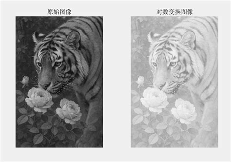 图像处理入门（一）：一些常用的灰度变换函数列举出一些基本的灰度变化函数画出其图像写出其数学表达式及其适用范围。 Csdn博客