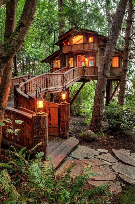 Wooden Walkway To Illuminated Tree House Royalty Free Stock Photo Dissolve