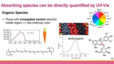 [7 3a] การวิเคราะห์โมเลกุลที่ดูดกลืนแสงและไม่ดูดกลืนแสง Uv Visible Youtube
