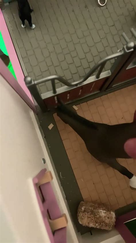 Randomness ️ Youtube