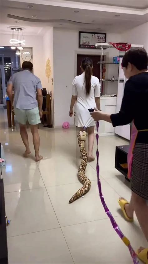 酸爽黄瓜小咸菜萝卜咸菜做法非常简单！