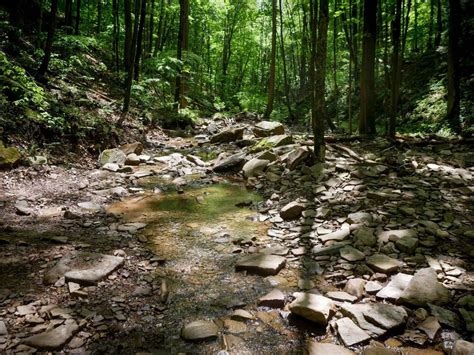 Trail 7 Virginia Gps Trail Map Conditions And Difficulty Onx Offroad