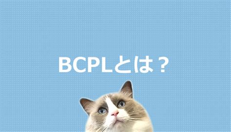 Bcplとは？プログラミング言語を初心者にもわかりやすく解説 プログラミング入門