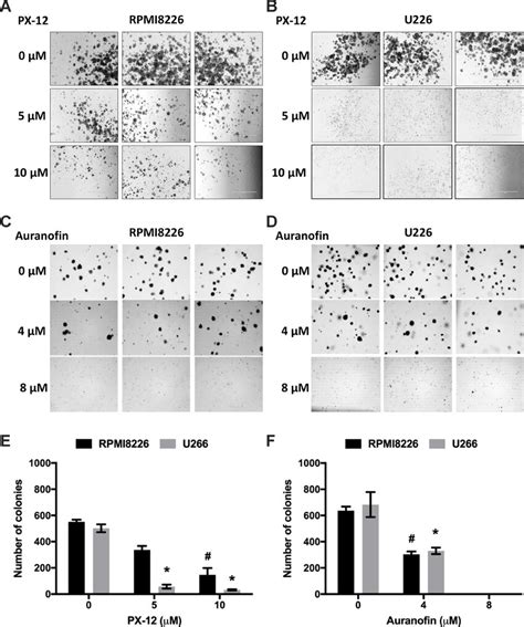 Trxr1 And Trx1 Inhibition Reduces Clonogenic Activity Of Mm Cells A