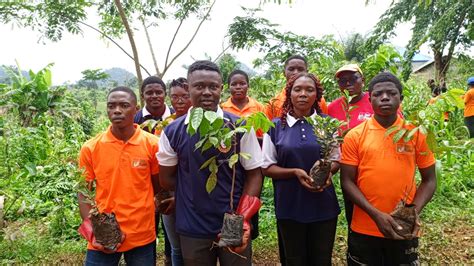 Den Trees Project Den Planet