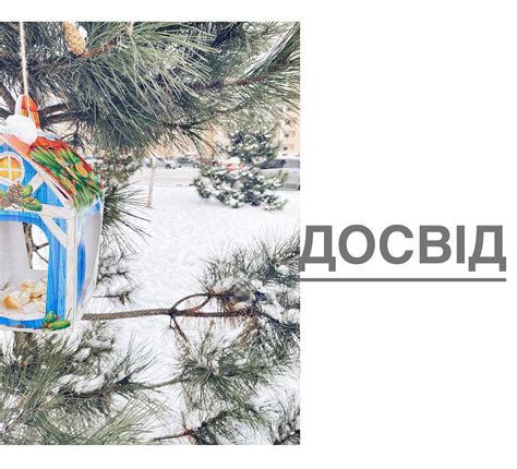 Freelanceworkiryna ДОСВІД РОБОТИ 👩🏻‍🎓 Чи потрібен досвід для даної