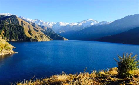 斩获“影帝”的张译：凭什么这么红？ 哔哩哔哩