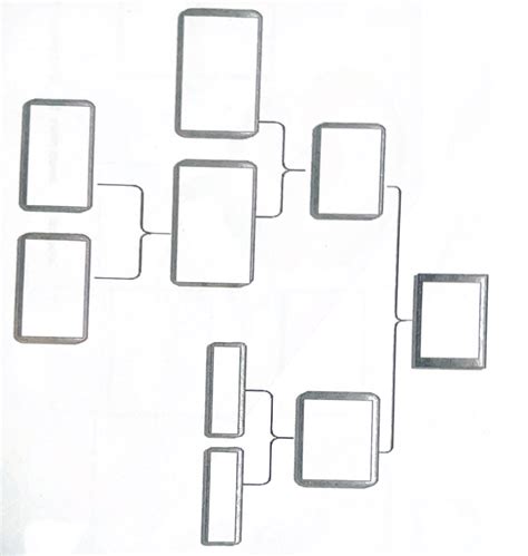 Nervous Hierarchy Diagram Quizlet