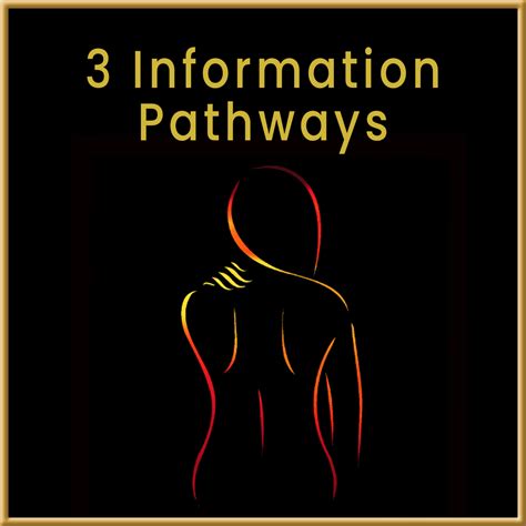 3 Information Pathways Members Photonic Therapy Institute